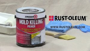 The Best Mold Killing Primer and Mold Resistant Paints