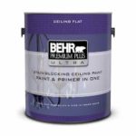 The Best Ceiling Paint For Your Home - DIY Painting Tips