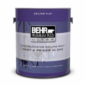 The Best Ceiling Paint For Your Home - DIY Painting Tips