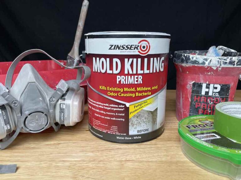 Zinsser Mold Killing Primer Review: Does It Work? - DIY Painting Tips