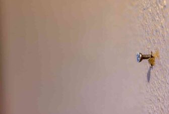 The Best Method for How to Fix Nail Pops on Walls and Ceilings - DIY ...