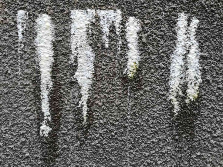 The Best Method for How to Fix Efflorescence on Painted Walls - DIY ...