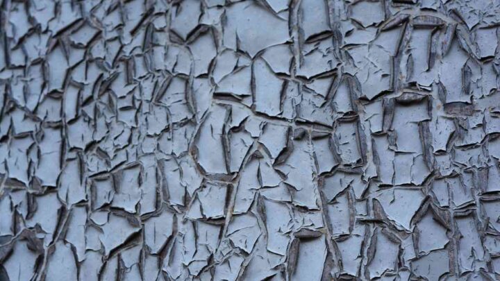 What Is Mud Cracking Paint and the Best Method for How to Fix It - DIY ...