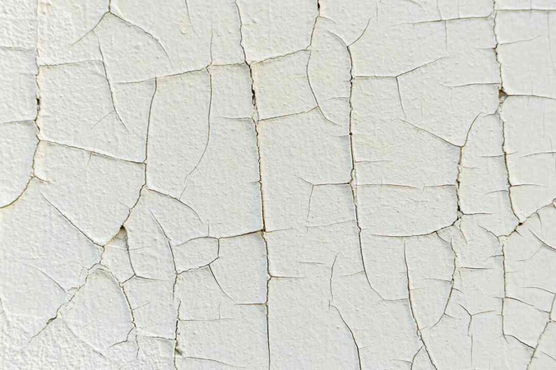 Alligatoring Paint: What It Is and How to Fix It - DIY Painting Tips