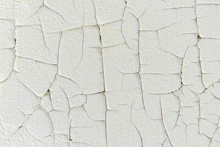 Alligatoring Paint: What It Is and How to Fix It - DIY Painting Tips