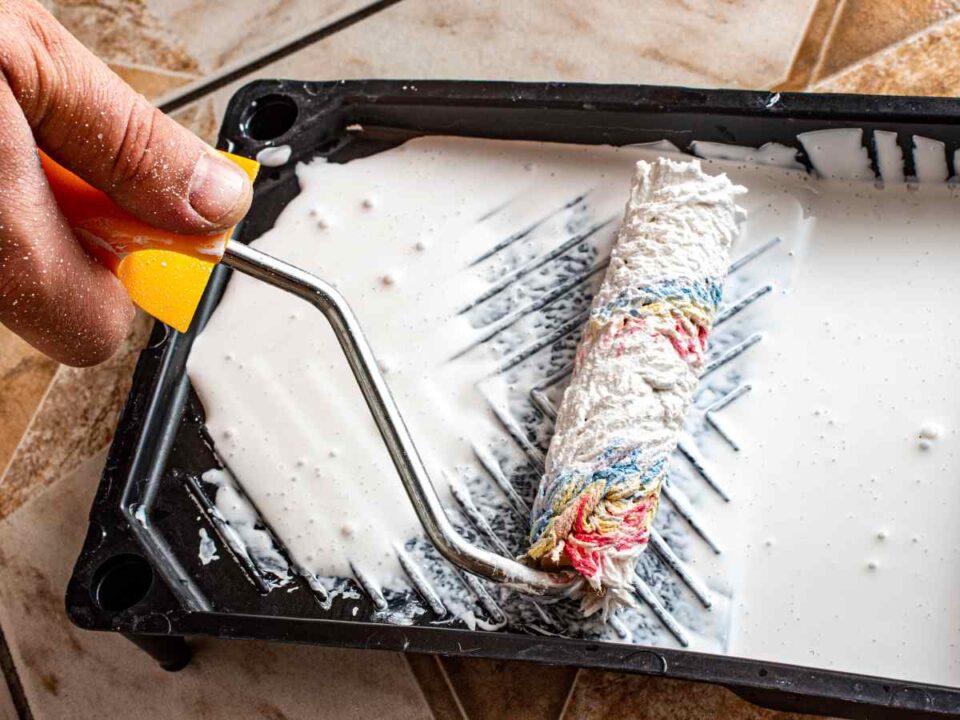 The Wagner Paint Roller: My Personal Review - DIY Painting Tips
