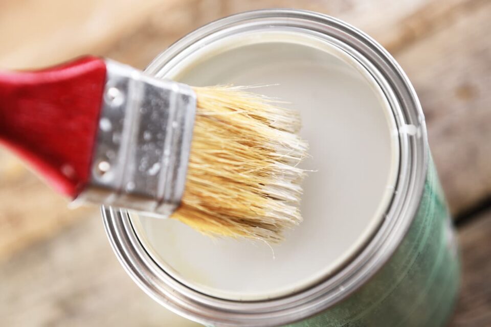 Eco Friendly Paint For Your Interior and Exterior Painting Projects ...
